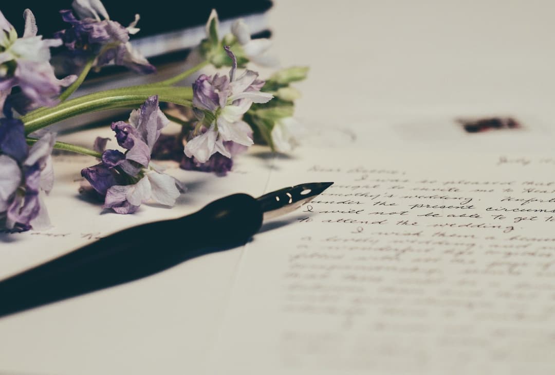 An Insider’s Guide to Writing the Perfect Lyrical Essay - Novlr
