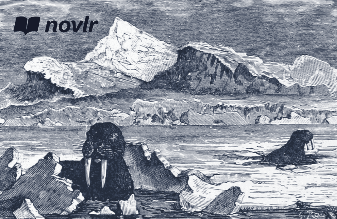 How to Write the Cold: Quick Tips for Writers - Novlr