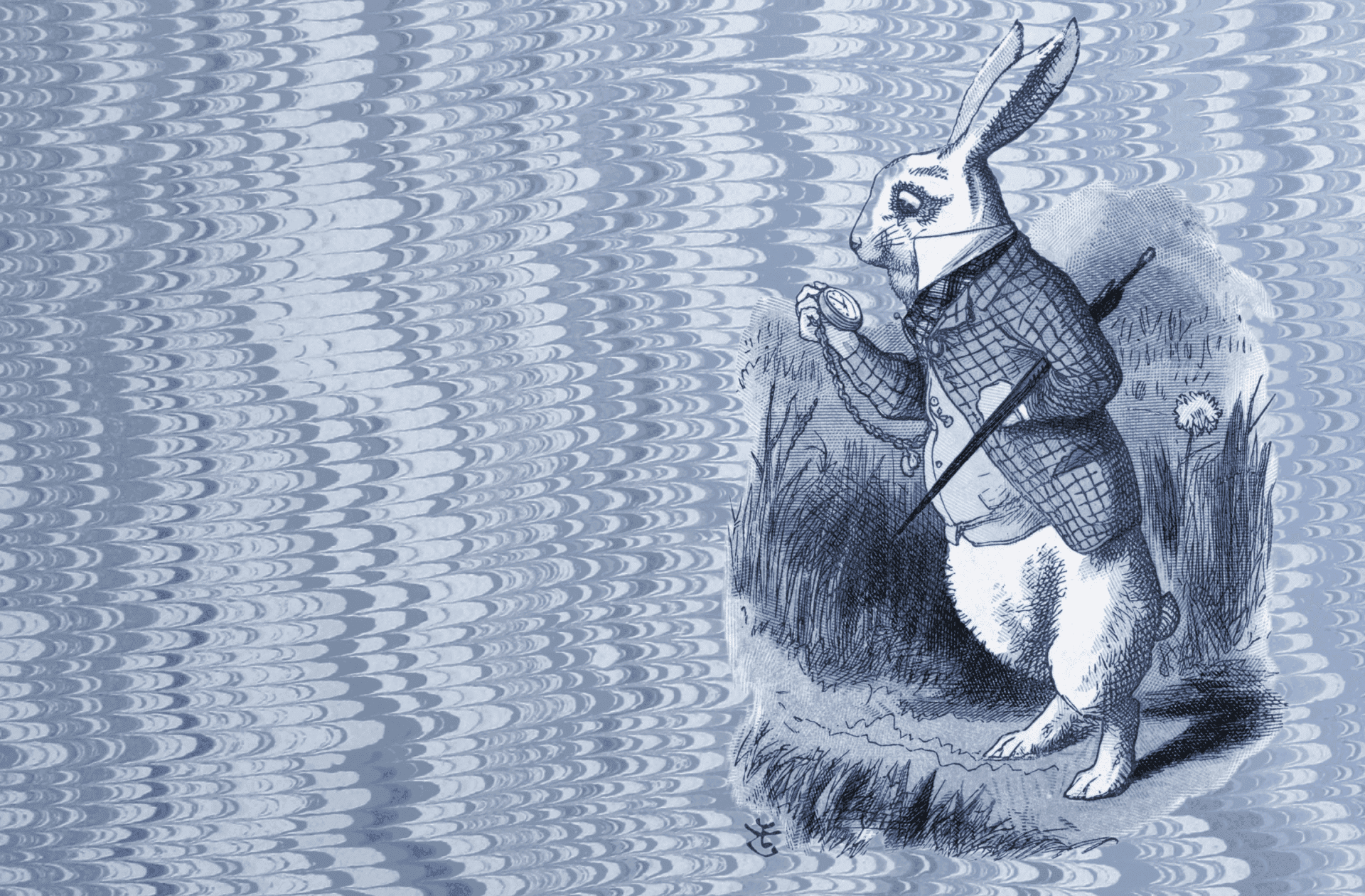 How do I write anthropomorphic animals? - Novlr