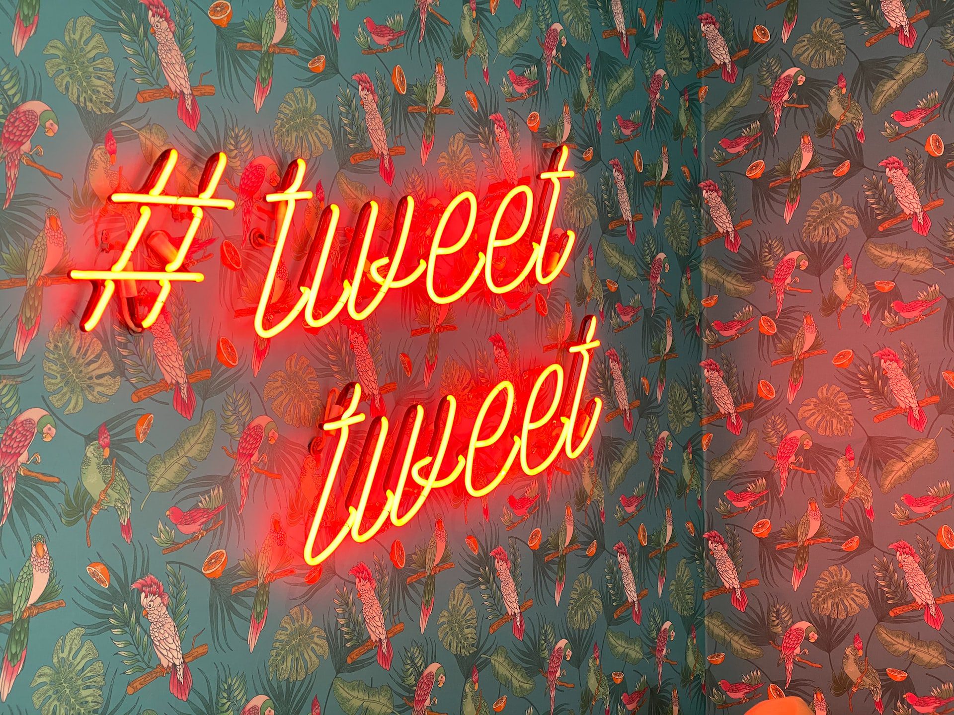 A Beginner's Guide to Navigating Twitter Pitch Events | The Novlr ...
