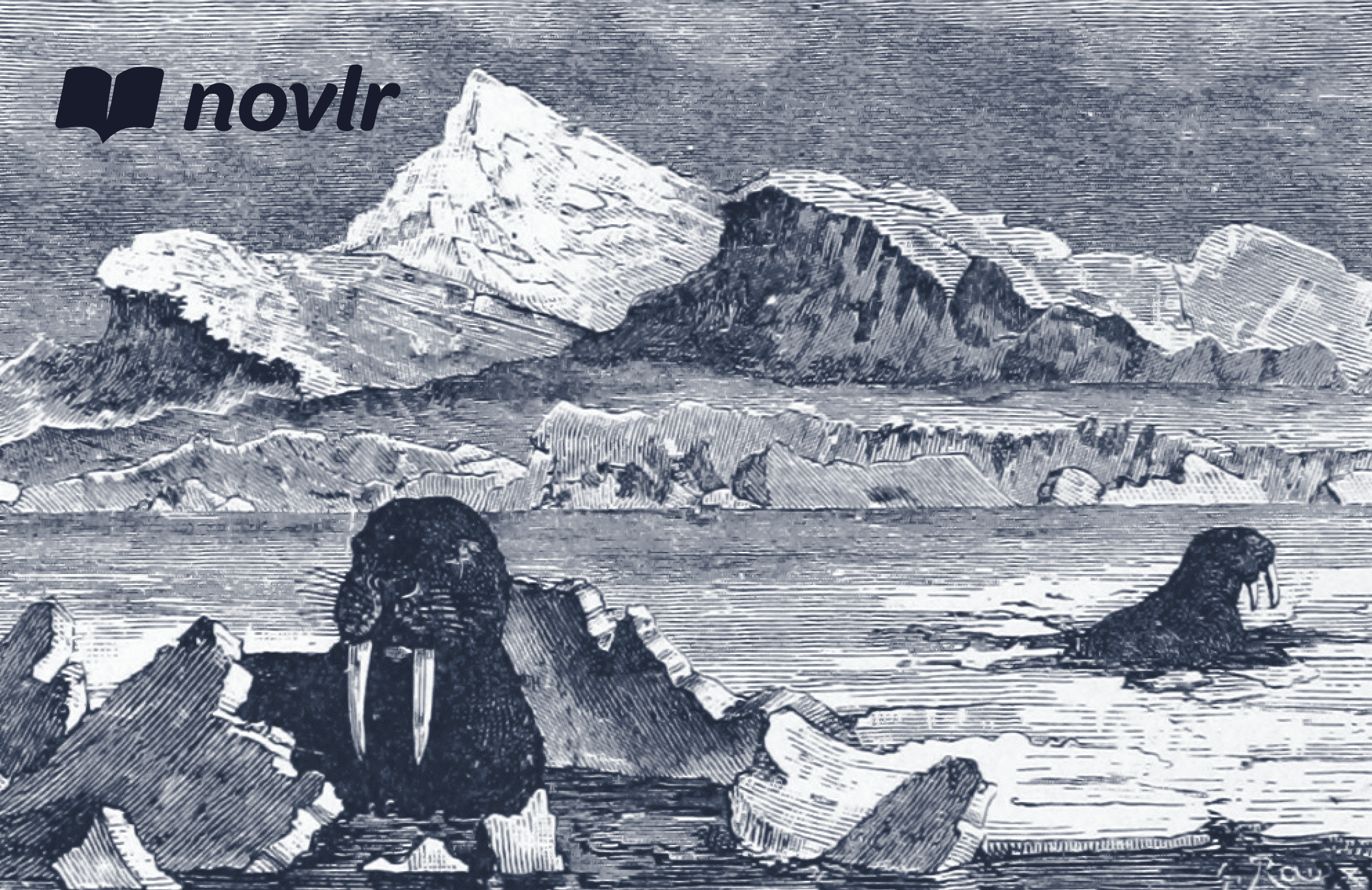 How to Write the Cold: Quick Tips for Writers - Novlr